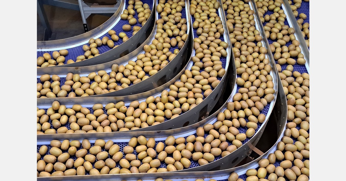 Seeka forecasts profit rise on strong kiwifruit harvest