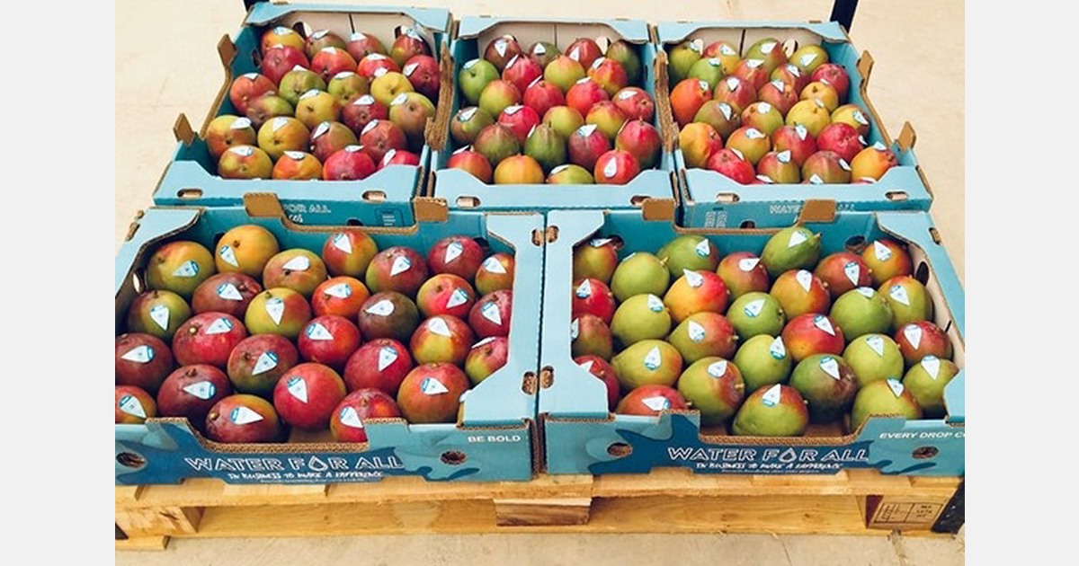 Celebrating National Mango Month with a purpose