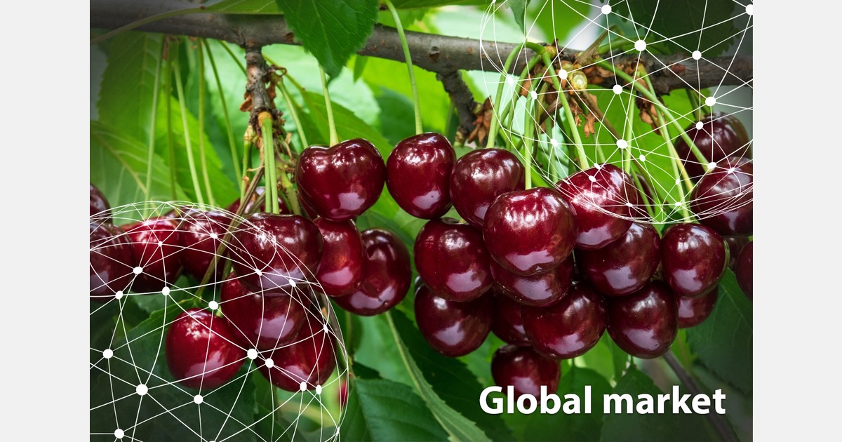 GLOBAL MARKET OVERVIEW CHERRIES