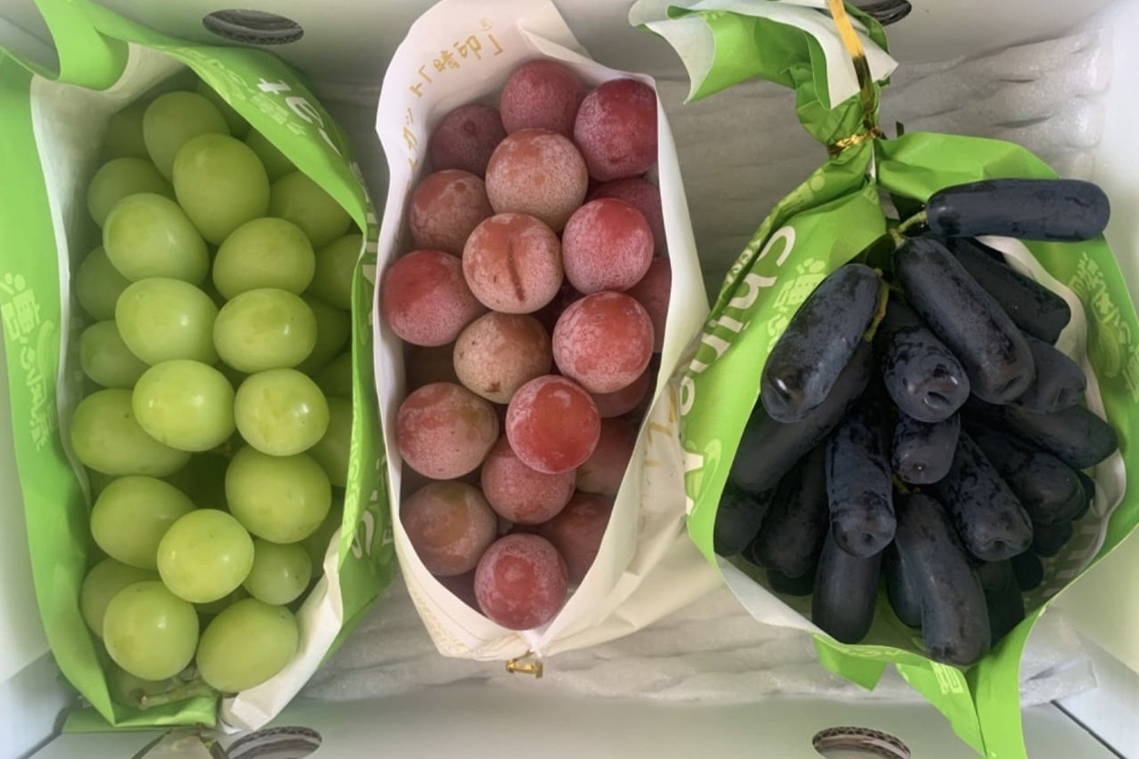 “Imported grapes did well in India despite local competition”