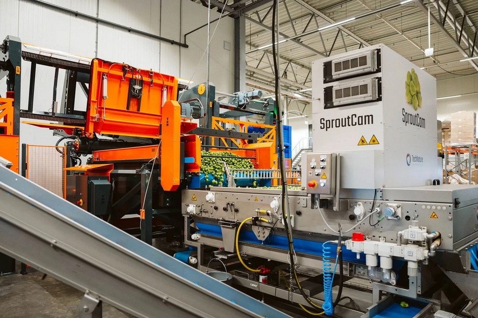 Sprout sorting automated with camera system and crate logistics