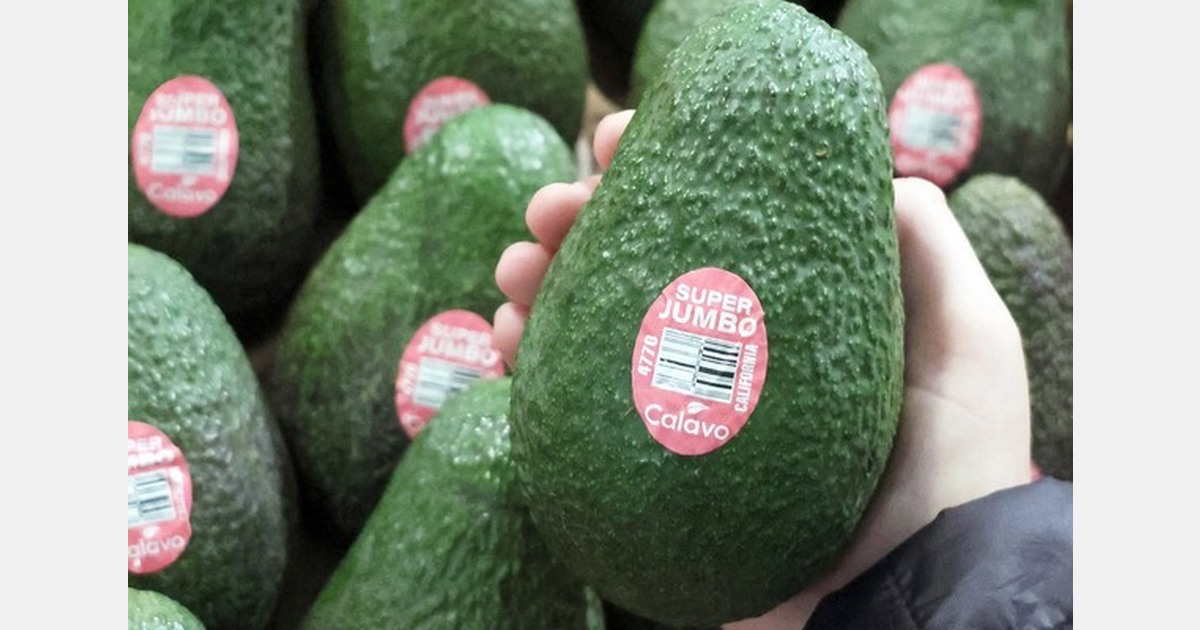 New PLU sticker introduced for Super Jumbo avocados