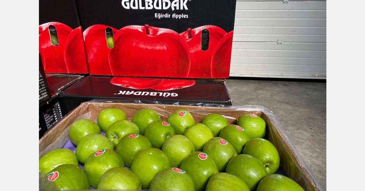 "A noticeable shift from traditional varieties to ones more suited for ...