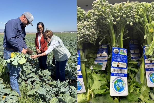California Secretary of Agriculture takes regenerative farming tour
