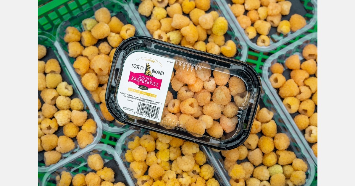 Golden raspberries from Scotland debut at Asda