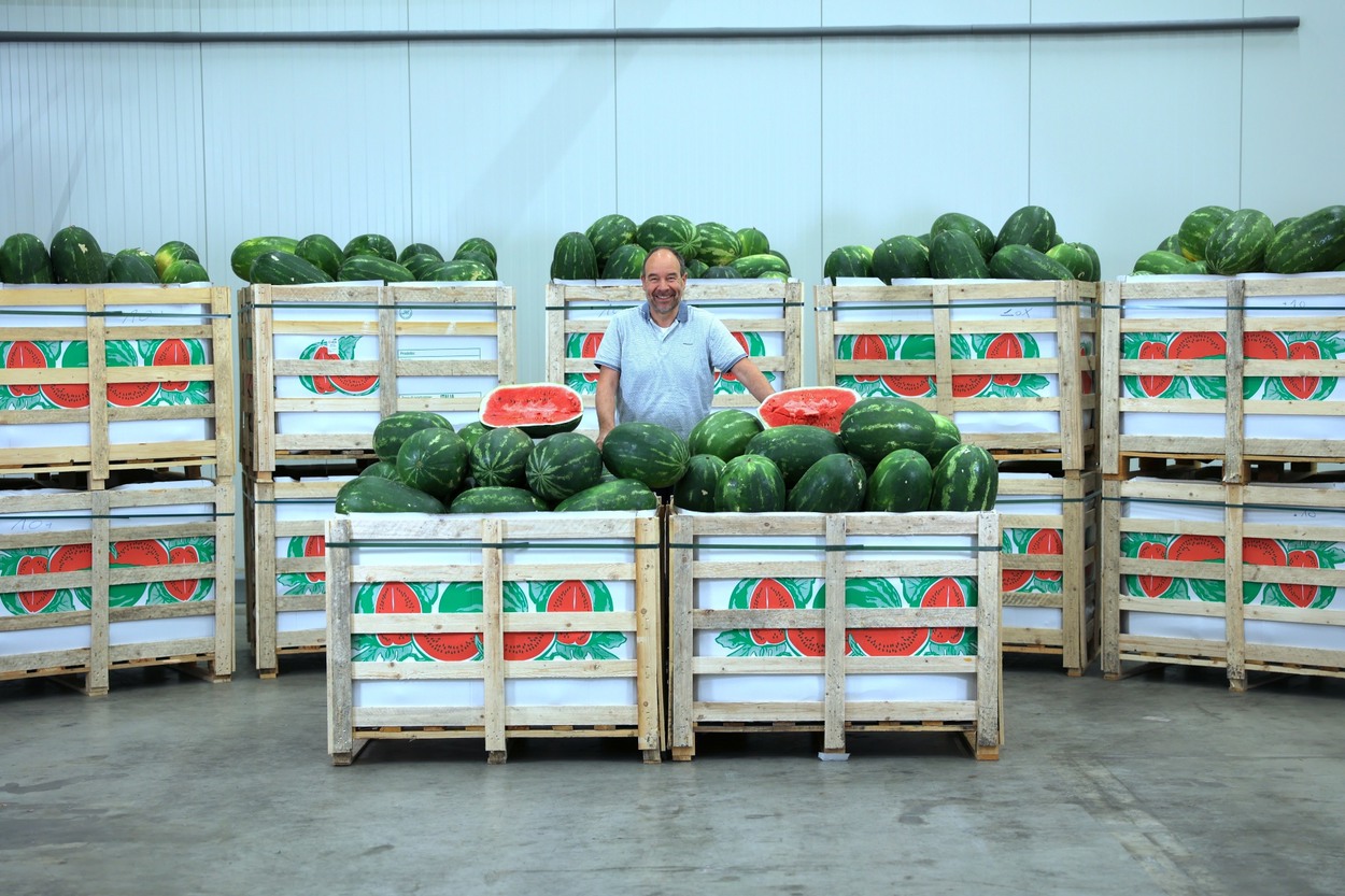"Watermelon growing in popularity year-round"