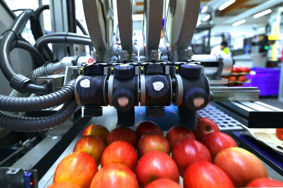 How compostable fruit labels are a path to sustainable produce packaging