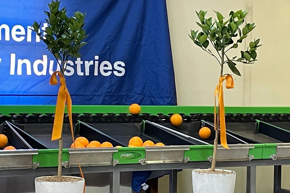 NSW unveils new citrus grading technology