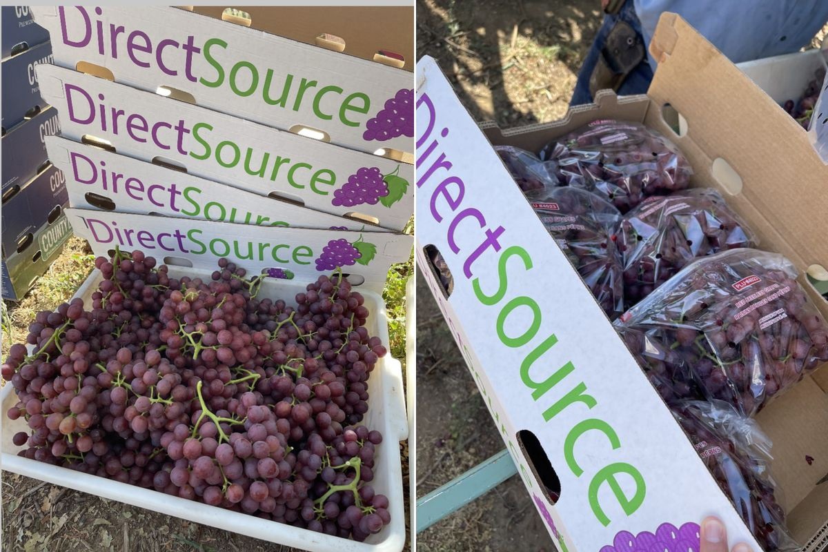 “Due to a steep tariff, we are abandoning table grape imports from Brazil”