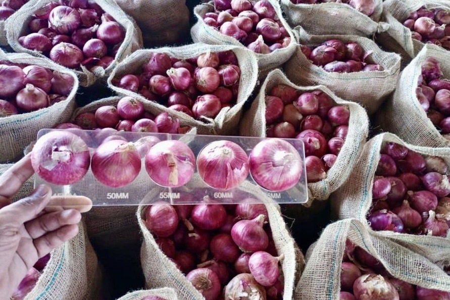 “It’s been a promising export season for Indian onions”
