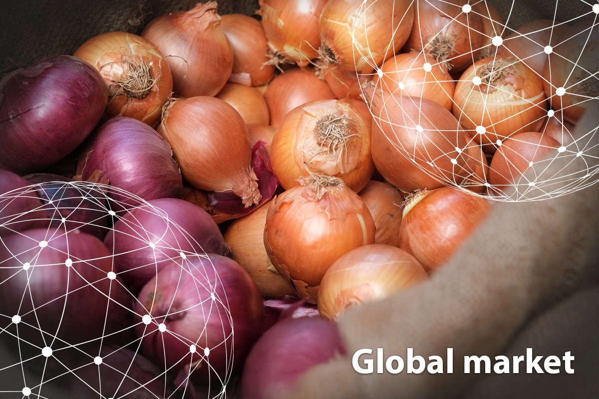 GLOBAL MARKET OVERVIEW ONIONS