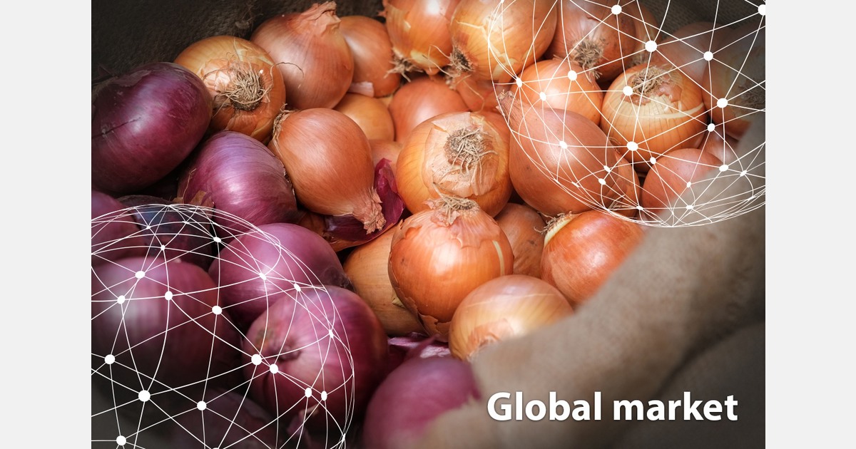 GLOBAL MARKET OVERVIEW ONIONS