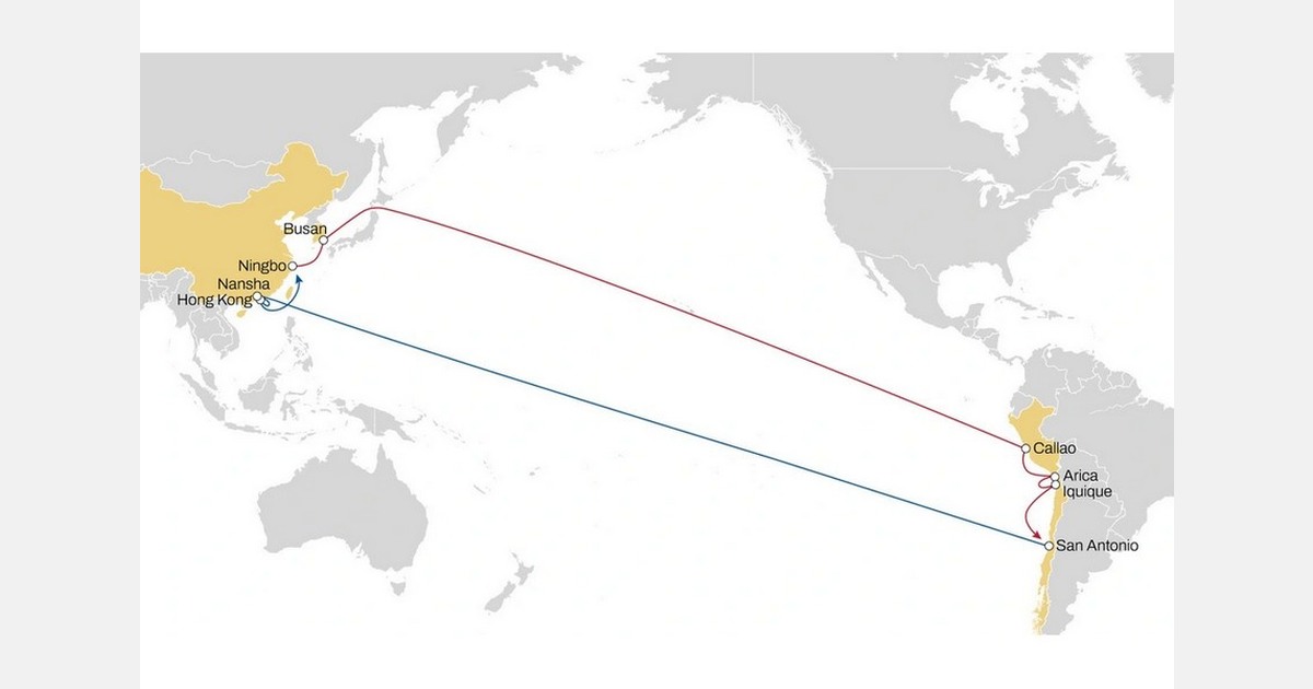 MSC to launch Alpaca service for Asia–South America cherry trade