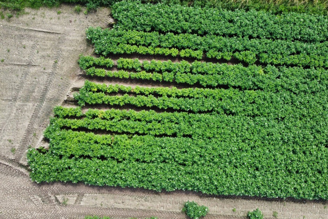 James Hutton Institute joins €4.9 million project to develop ...