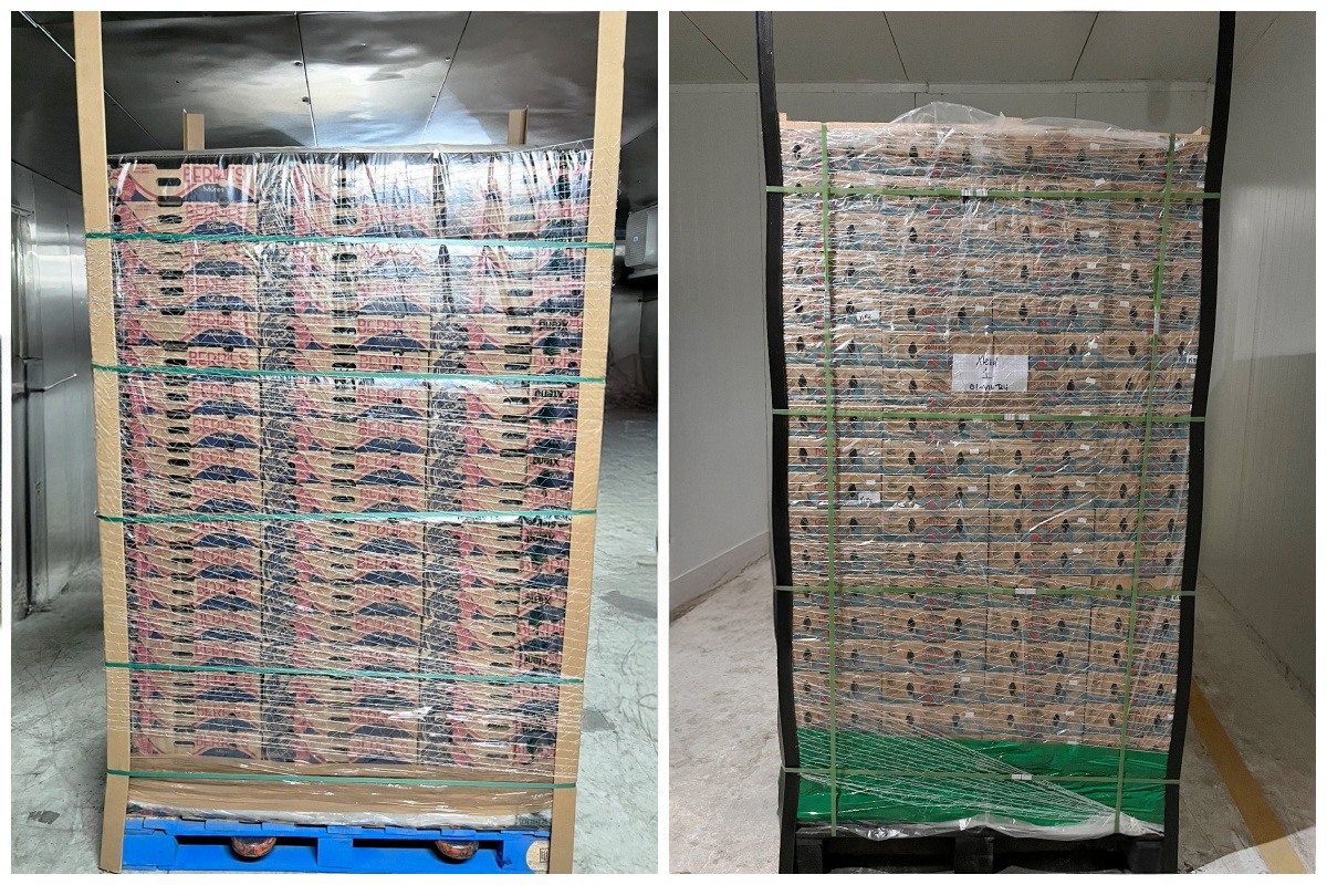 Pallet shrouds that preserve produce freshness all the way to retail