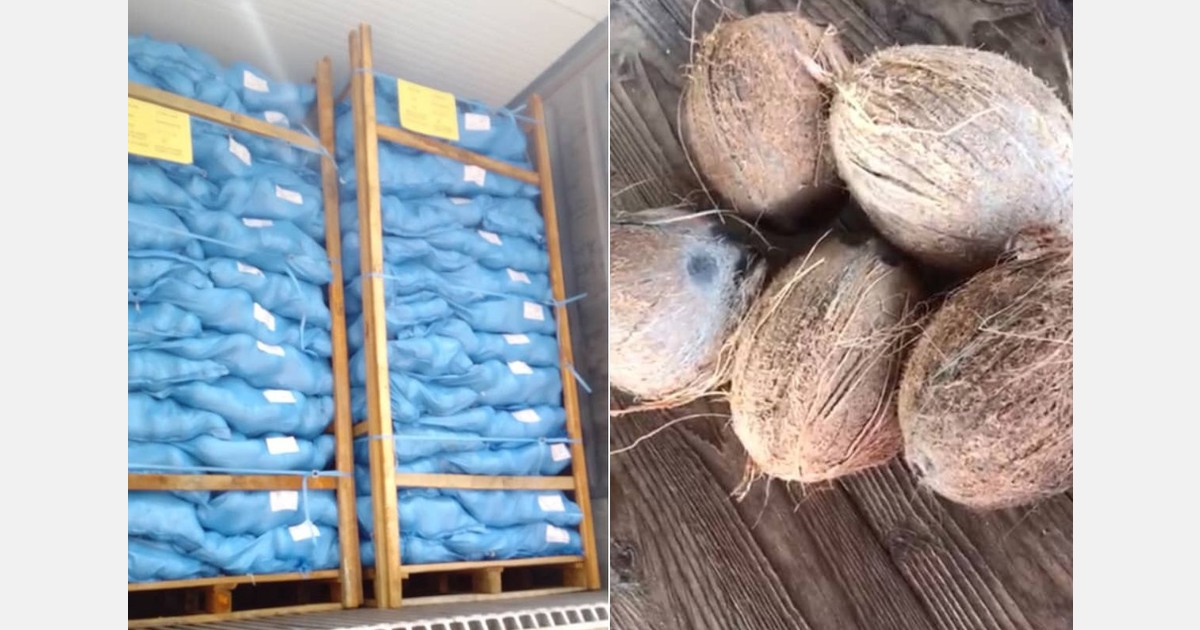 "The Dutch market continues to show strong demand for Ivoirian coconuts"