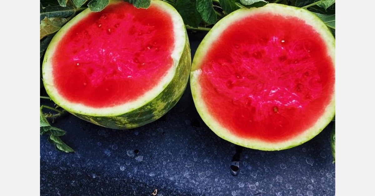 Strong supply challenges U.S. watermelon season