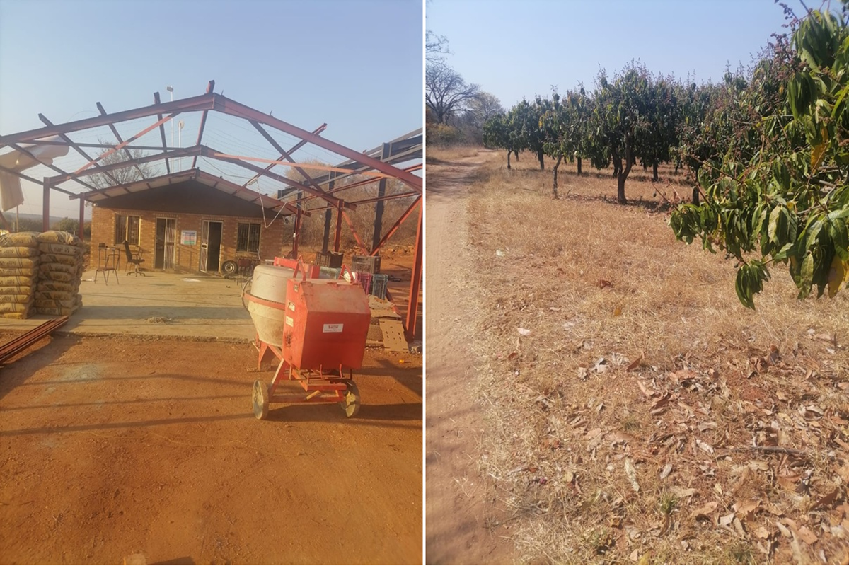 New packhouse to streamline marketing of 2025/26’s mango crop