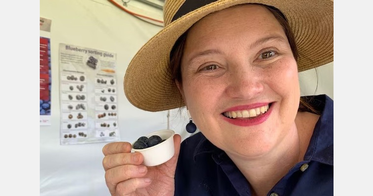 Australian blueberries show pesticide residues