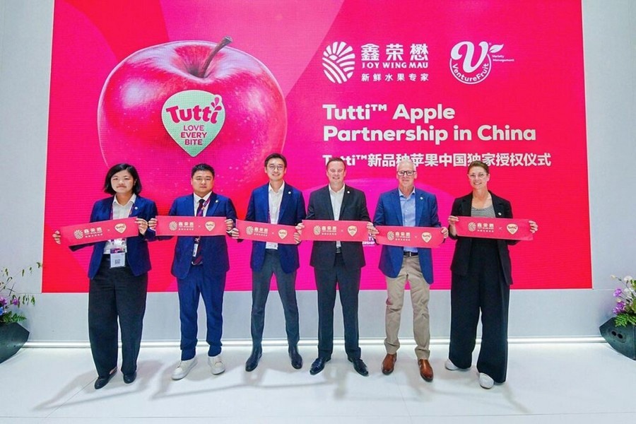 VentureFruit licenses Joy Wing Mau to plant 300 hectares of Tutti apples