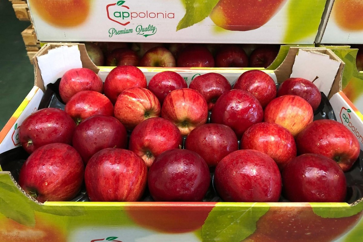 "Polish apples can play a more permanent role in the Indian market"