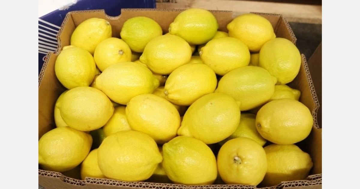 “Argentinian lemon imports go on and will finish according to the program”