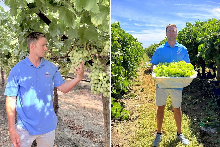 Premium California table grapes find a market