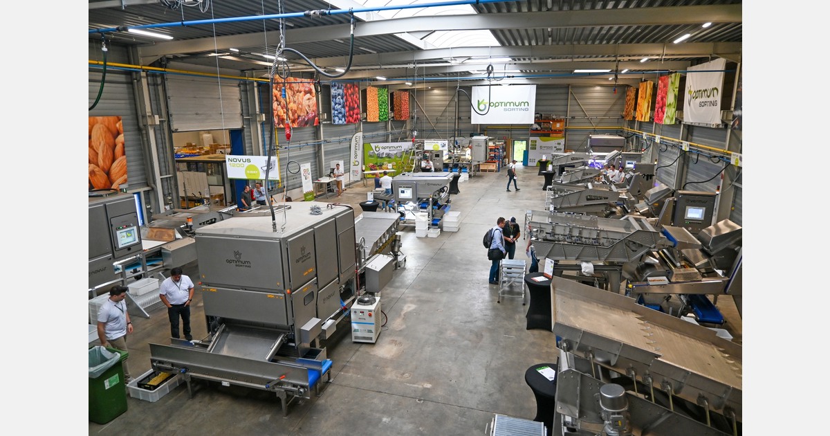 New technology allows for wet rot detection in potatoes