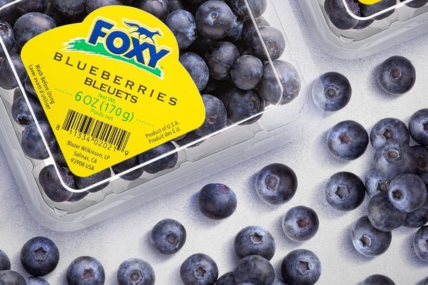 Expansion of blueberry import program from South America