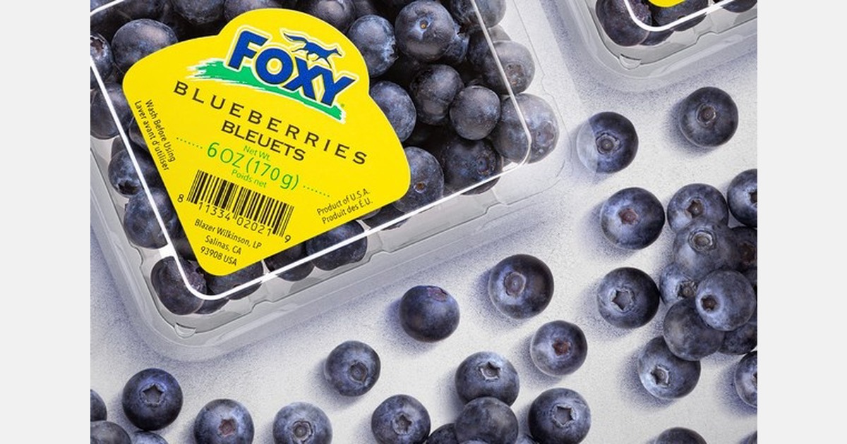Expansion of blueberry import program from South America