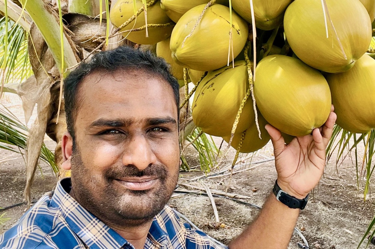 “Indian coconut exports rely on tradition and technical expertise.”