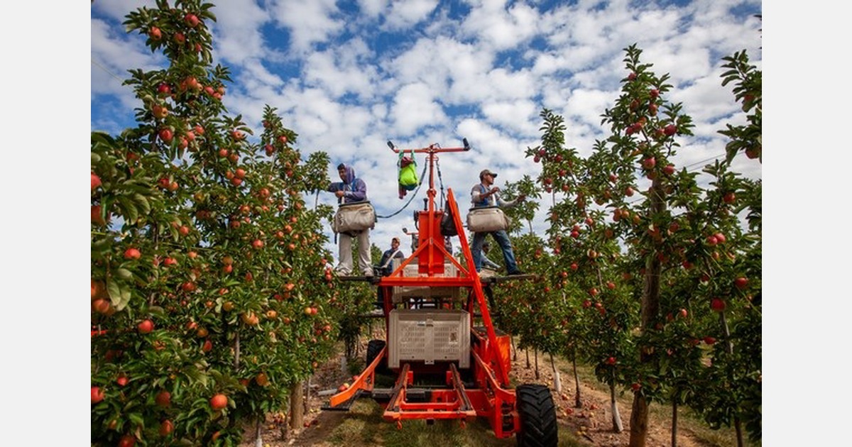 Clean, good apple crop from Pennsylvania helping move fruit