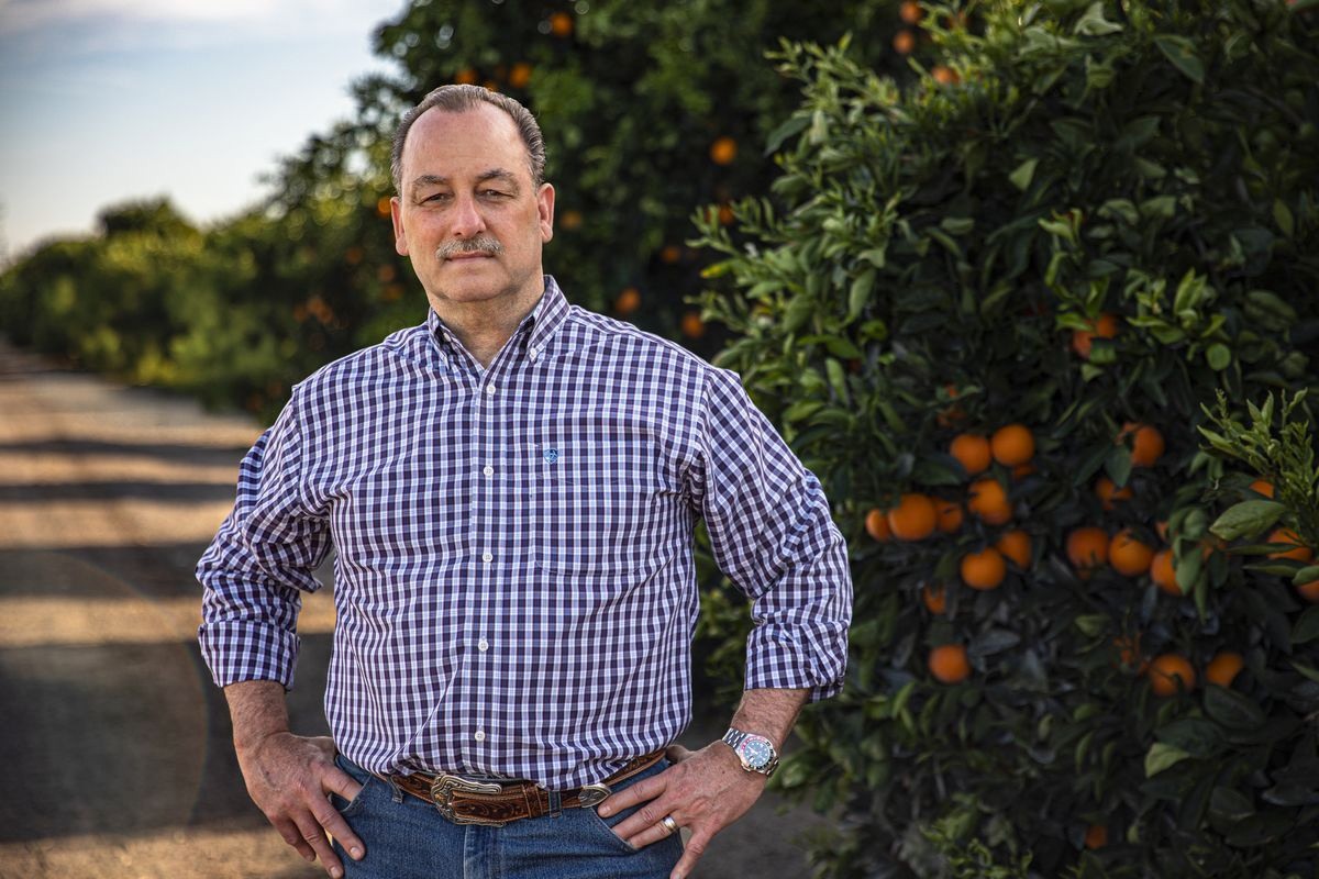 Sunkist Growers and Fruit Growers Supply Company announce strategic ...