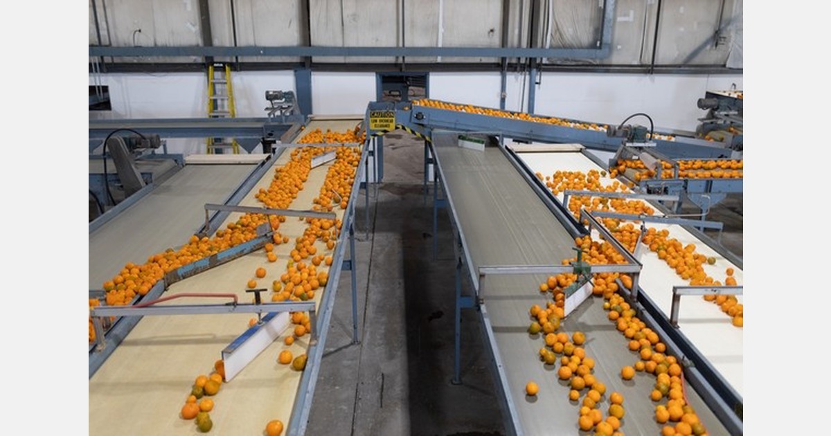 Facility transaction at Reedley, CA packing house