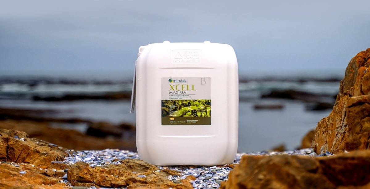 Introlab biostimulants approved for EU distribution