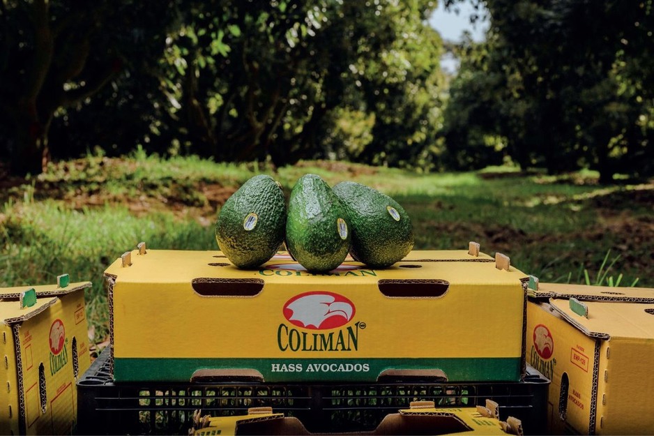 “The growth of the Mexican avocado industry is truly a success story”