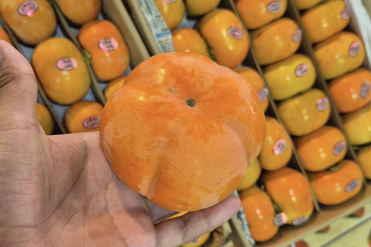Indian persimmons have a price advantage, but quality gaps keep ...