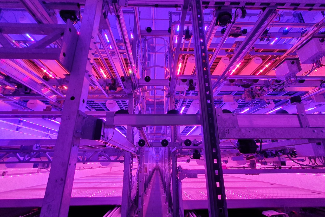 Microgreens and in vitro cultivation pioneer reach for the skies with ...