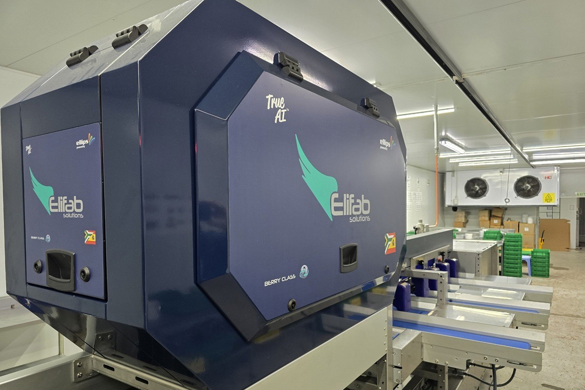 “The Elifab 2-Lane with Ellips True-AI has become the heart of our packhouse”