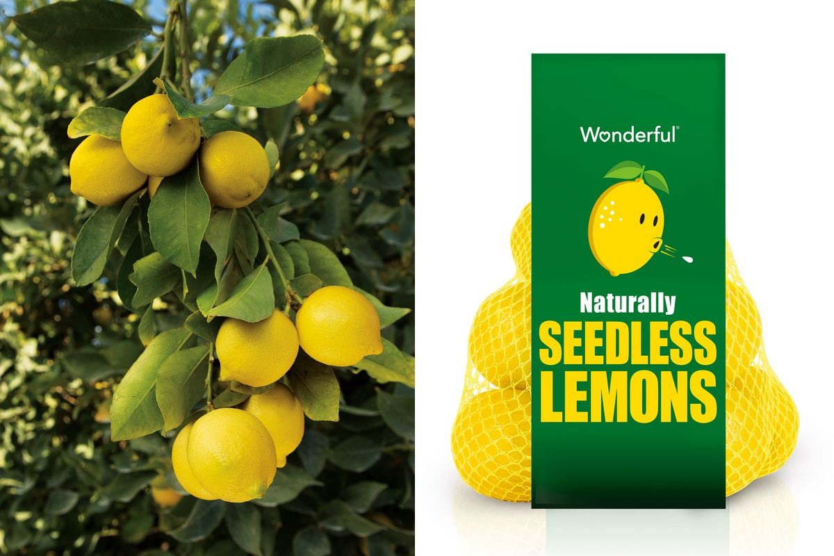 Seedless lemons available year-round due to production expansion into ...