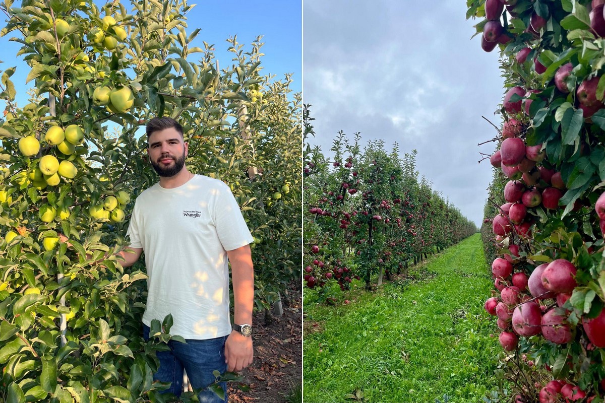 Former sales manager launches own Polish apple export company