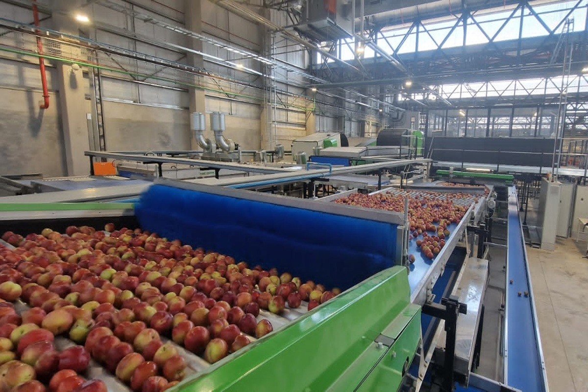 French packer formalizes its manufacturing footprint in Africa