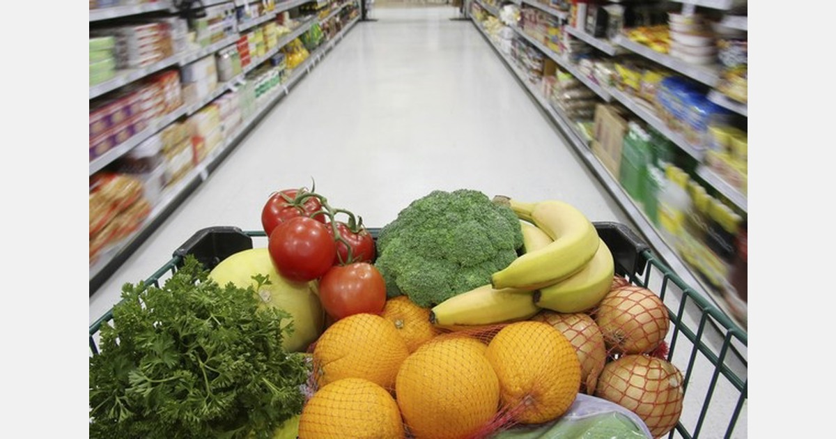 New study validates call for ‘function-first’ approach to sustainable ...