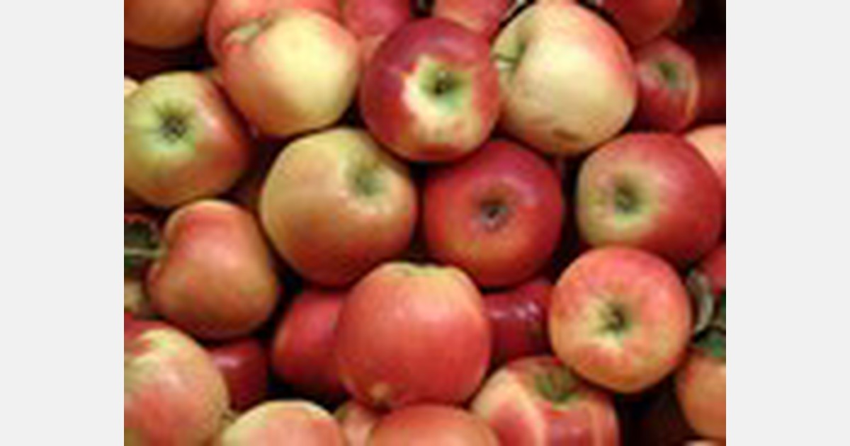 Club apples - a successful marketing concept?