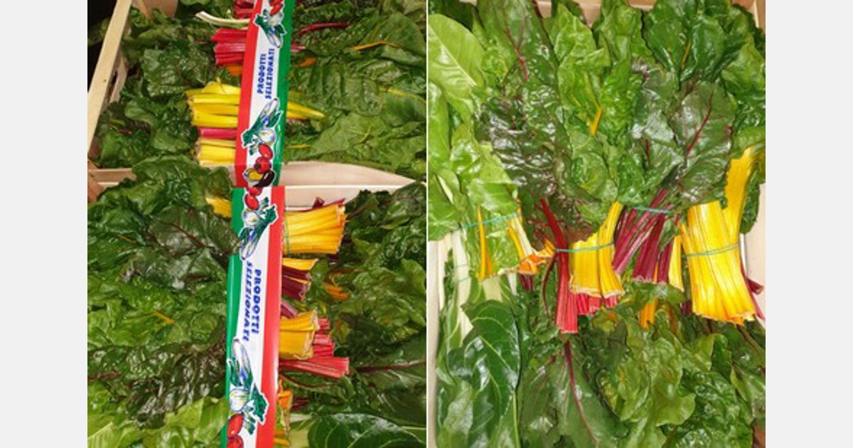 "Italian Rainbow Chard is selling like crazy this year!"