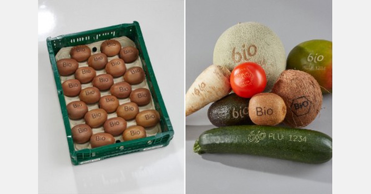 "Maximum productivity through machine adaptations"