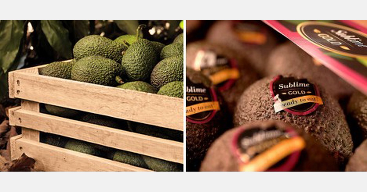 "Making Spanish mangoes and avocados better known throughout Germany"
