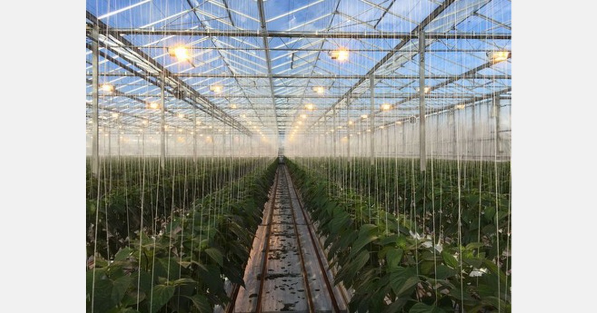 "Compostable eco-strings are recycled within a closed loop"