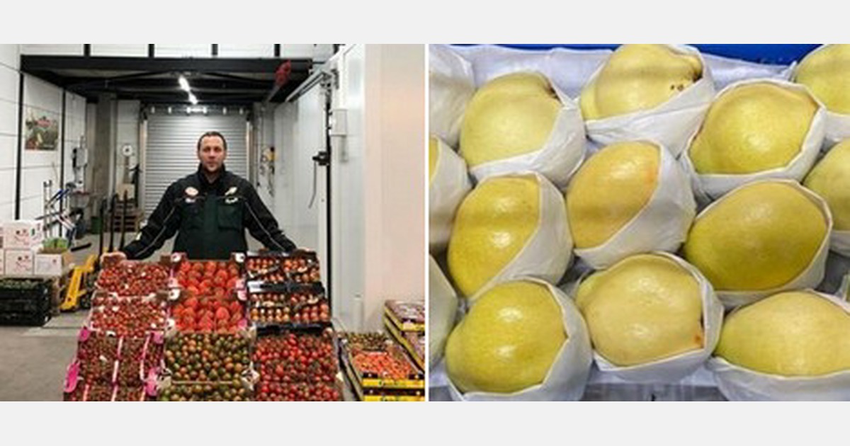 "Turkish Deveci pear attracts keen interest"