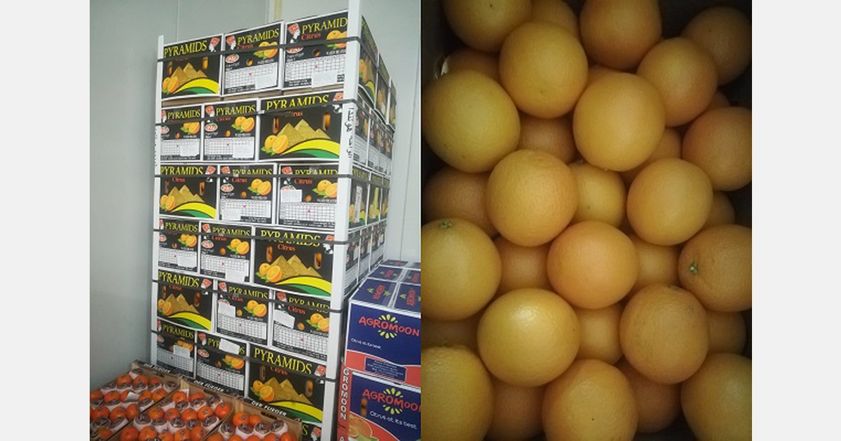 "We expect fresh merchandise from the Pyramids Premium brand, which is ...